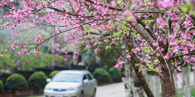 Your Car's Spring Checkup Checklist - Kennedy Transmission